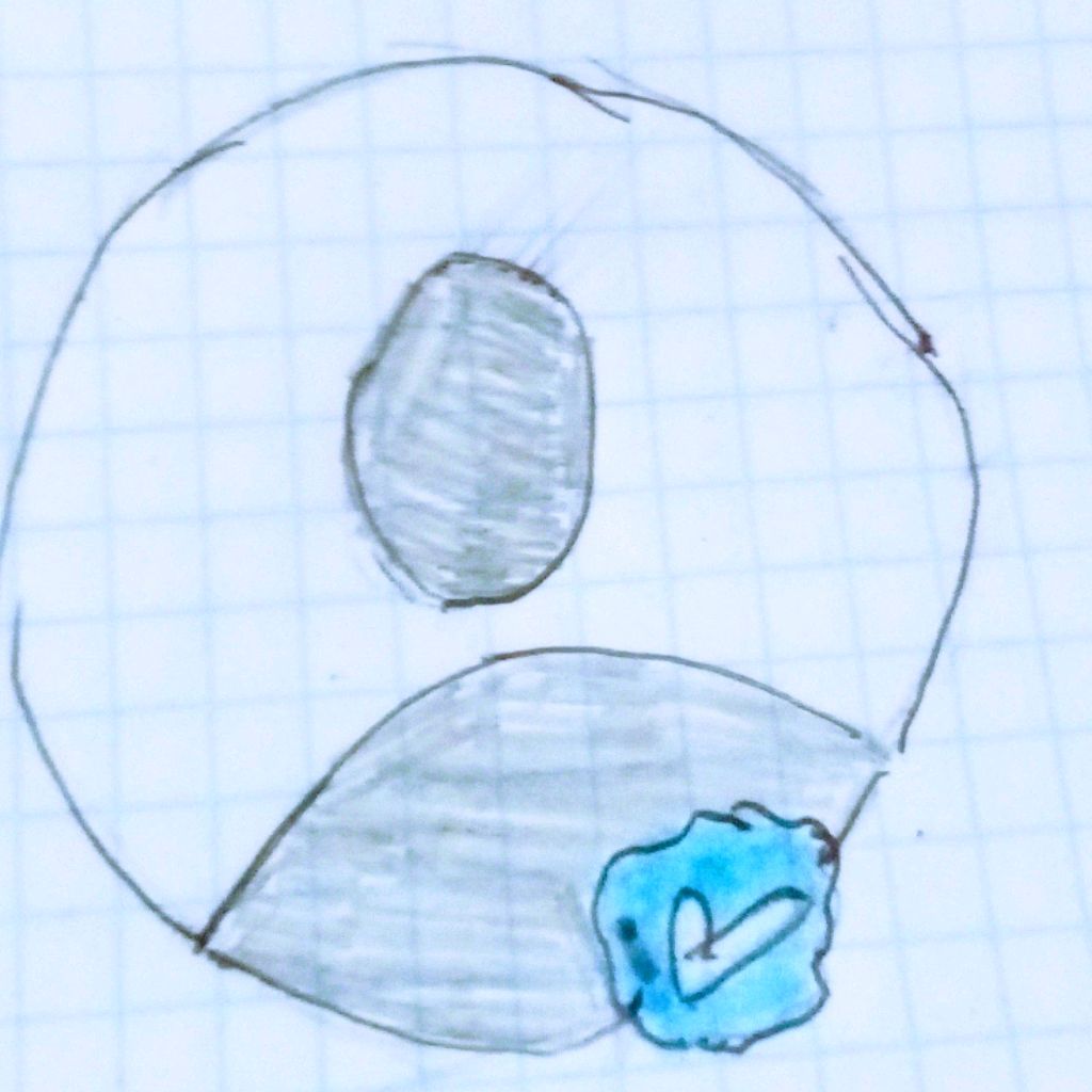 Иконка канала АНЯ–VIP