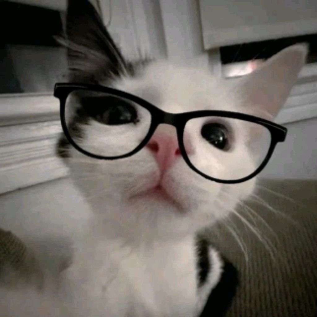 Иконка канала ☃️🪻Santa🪻☃️