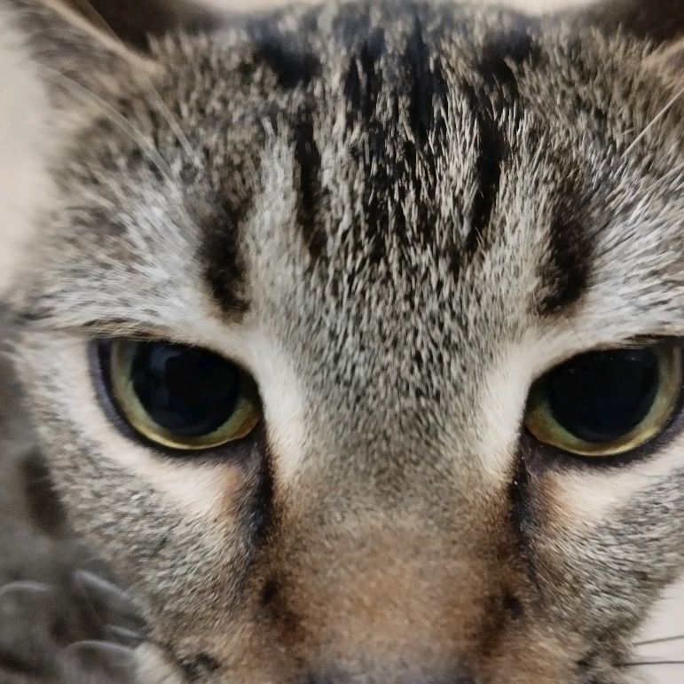 Иконка канала Marseille