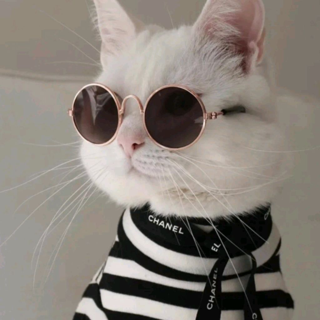 Иконка канала VANEK_CAT