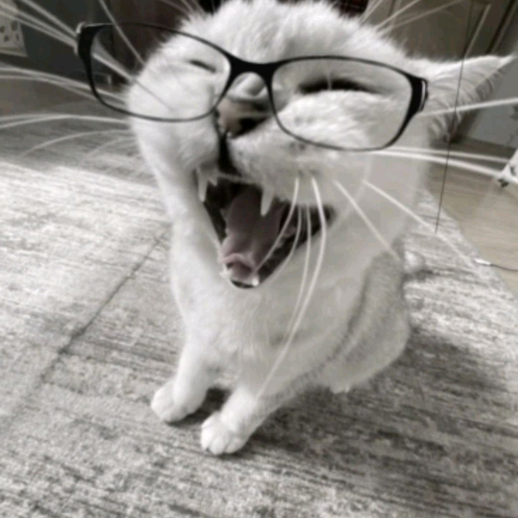 Иконка канала 🌸софик Гёрлз🌸