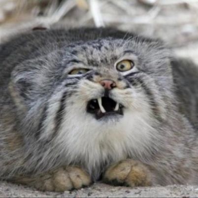 Иконка канала namuT