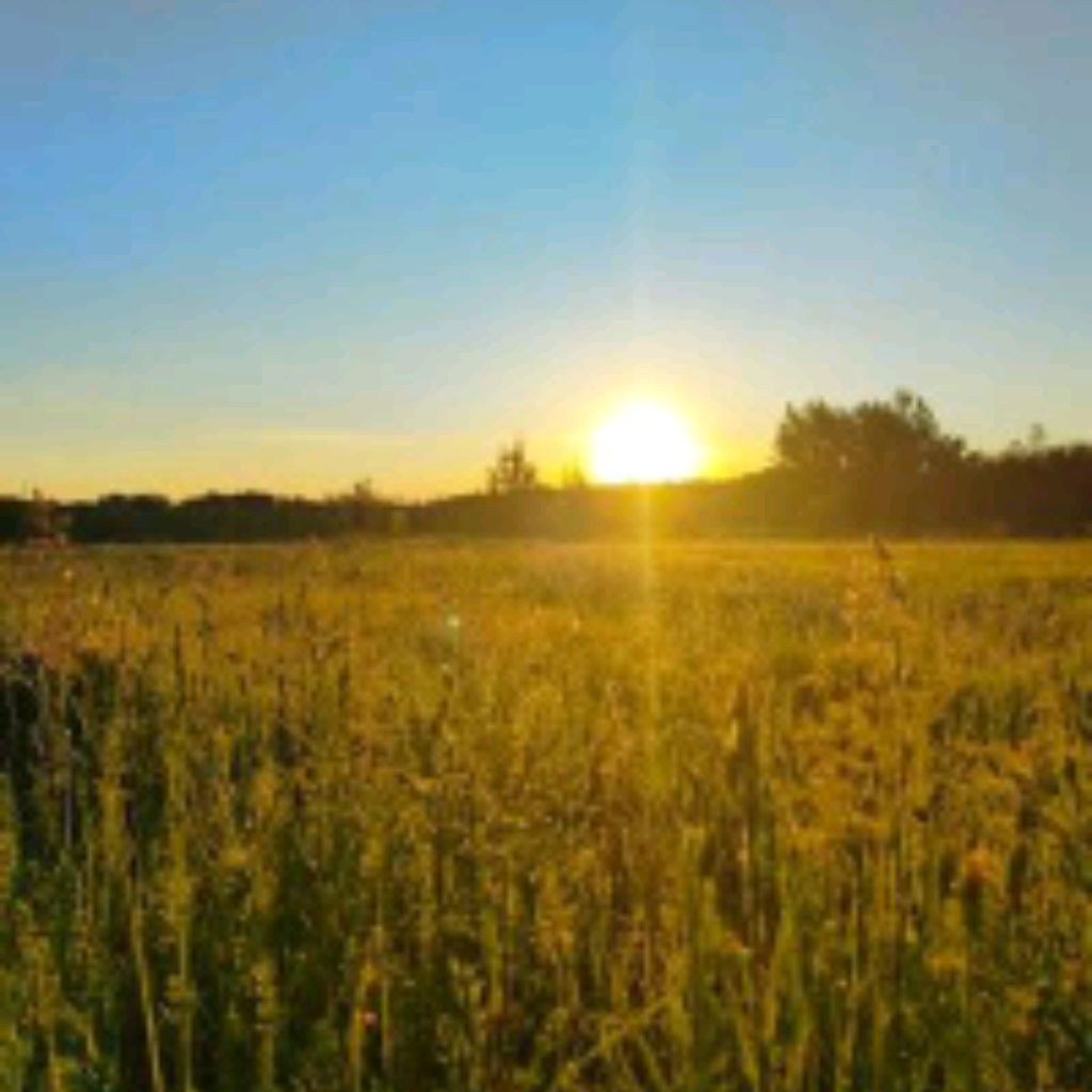 Иконка канала ☕𝑲𝒂𝒕𝒓𝒊𝒏𝒌𝒂☕