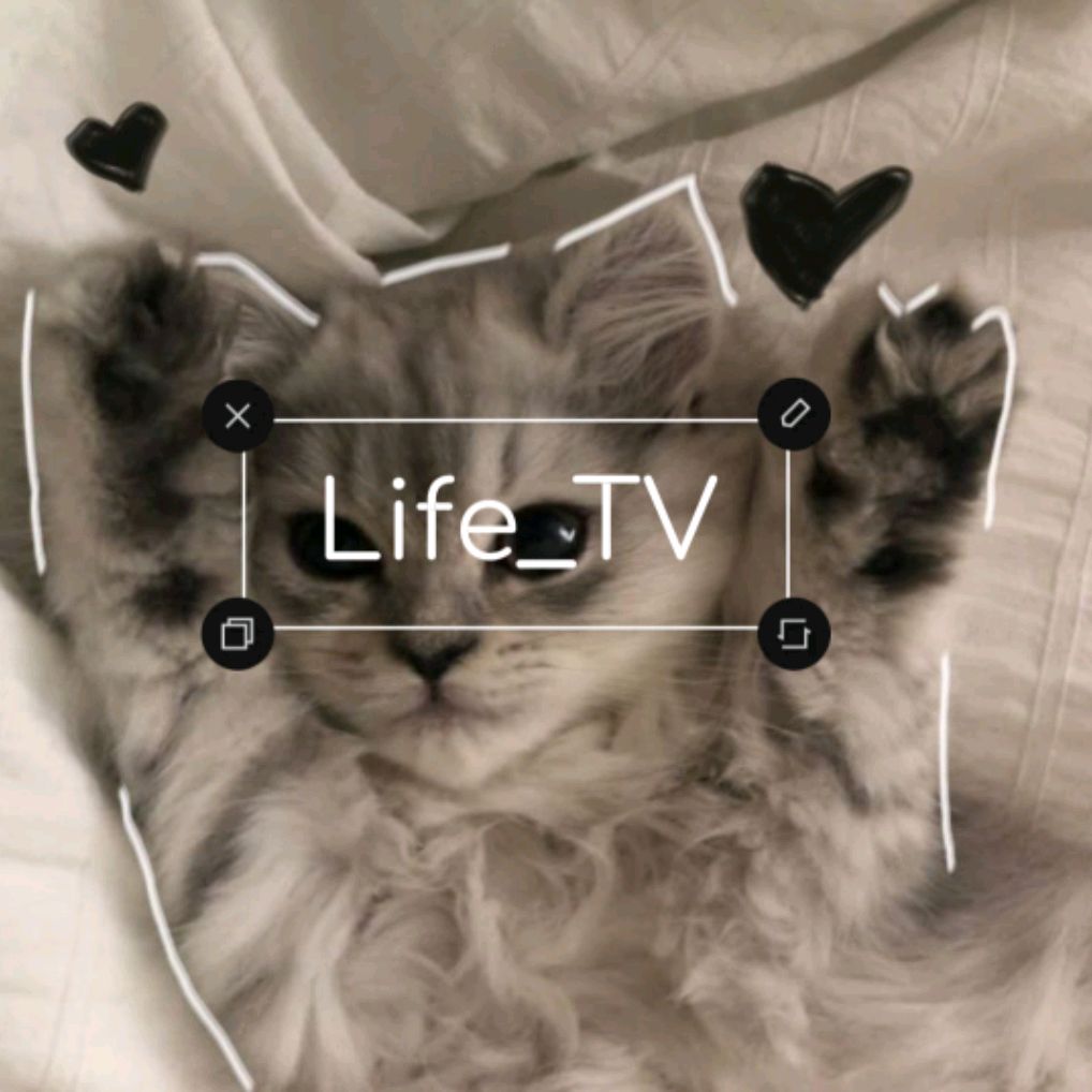Иконка канала Life_TV