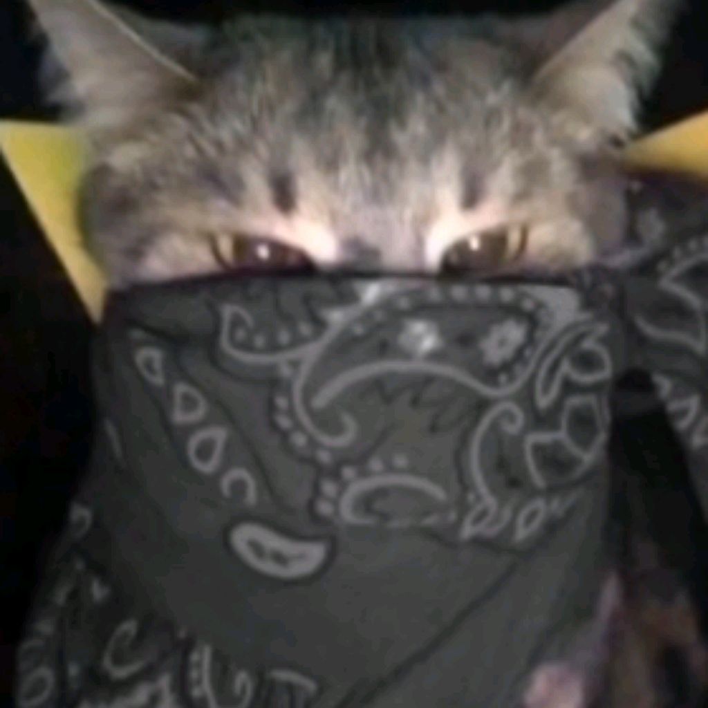 Иконка канала XX Maboy🥽
.