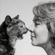 Иконка канала Седая Лиса