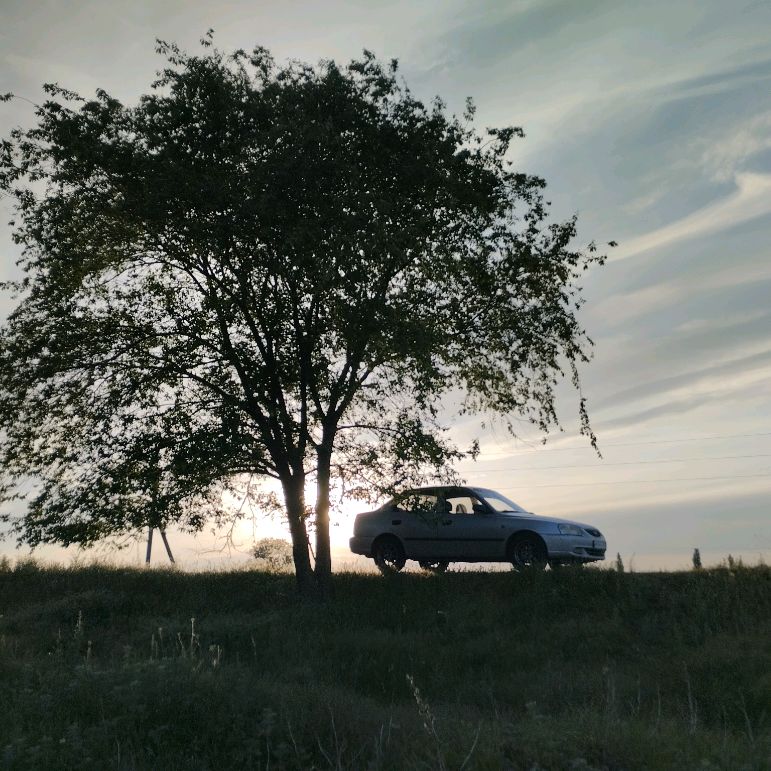 Иконка канала Хунди Мунди