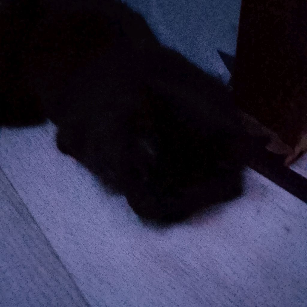 Иконка канала Секре Тока Егора