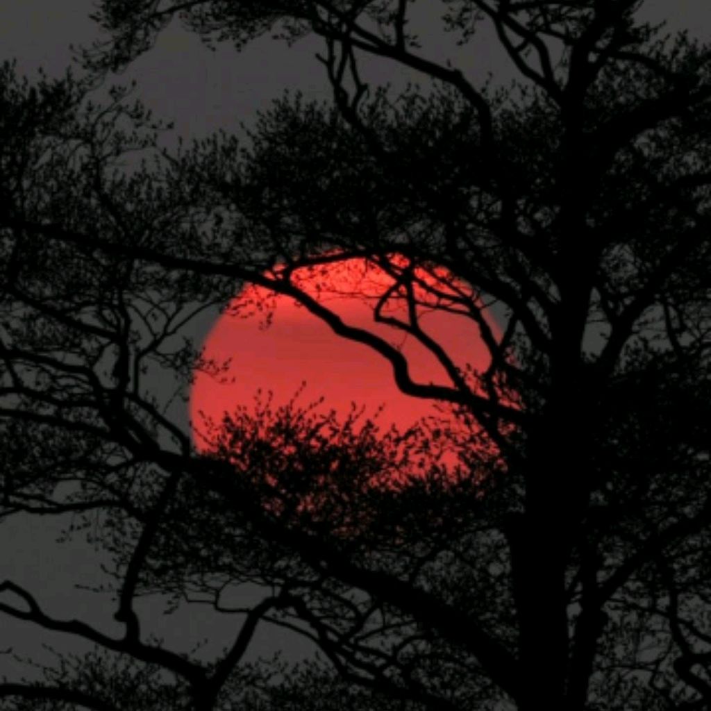 Иконка канала 😄𝓕𝓪𝓬𝓮𝓶𝓸𝓳😄