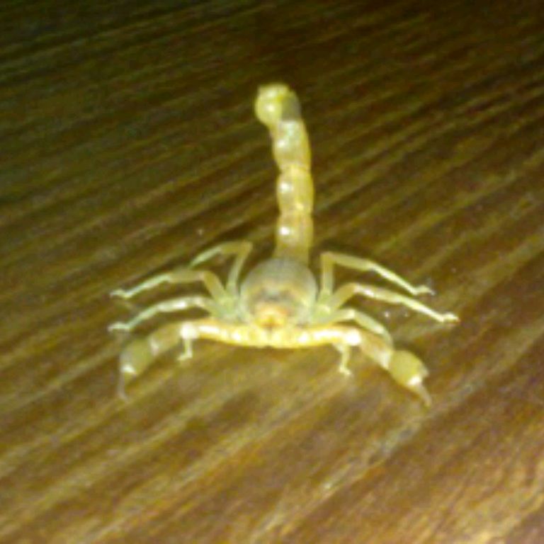 Иконка канала ReK