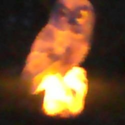 Иконка канала дима