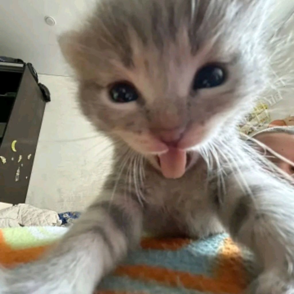 Иконка канала Fantik555