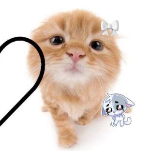 Иконка канала 🎎брат Шлепы🥁