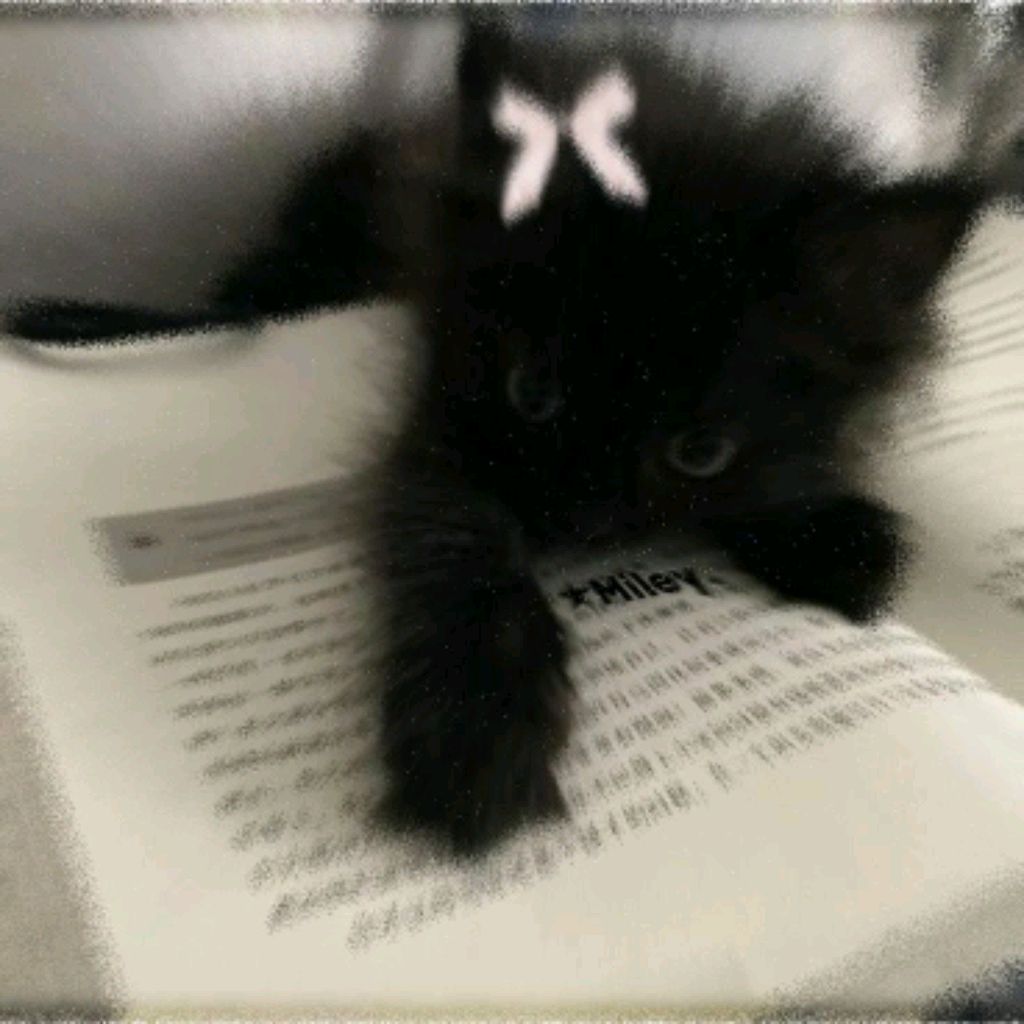 Иконка канала KVARSE Is The