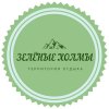 Иконка канала Altai Zelenye Holmy