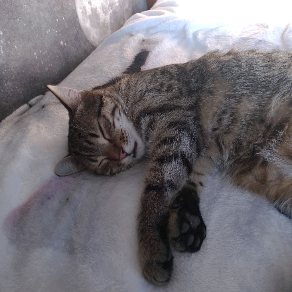 Иконка канала Михаил играет и снимает фонки