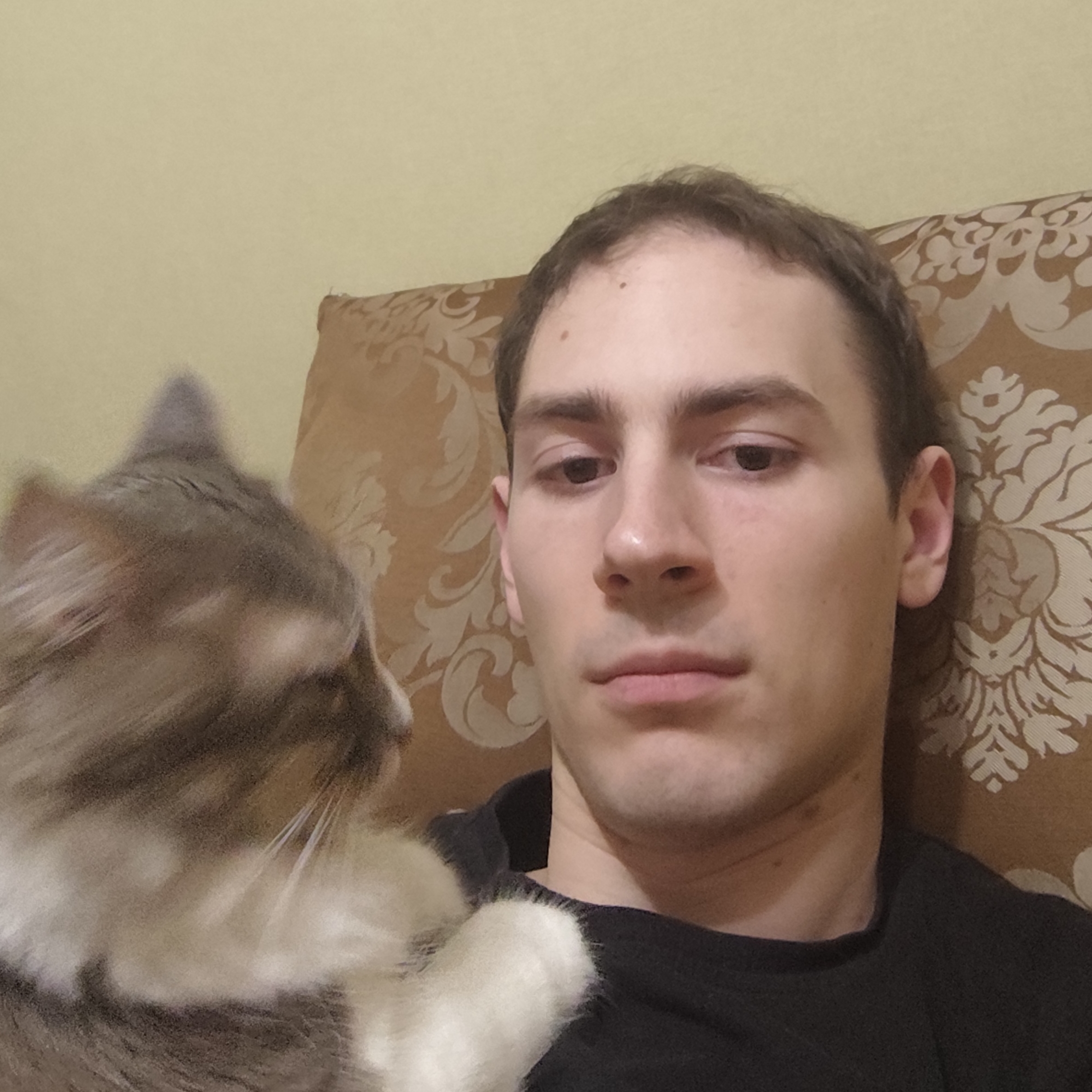 Иконка канала Серый Кряж