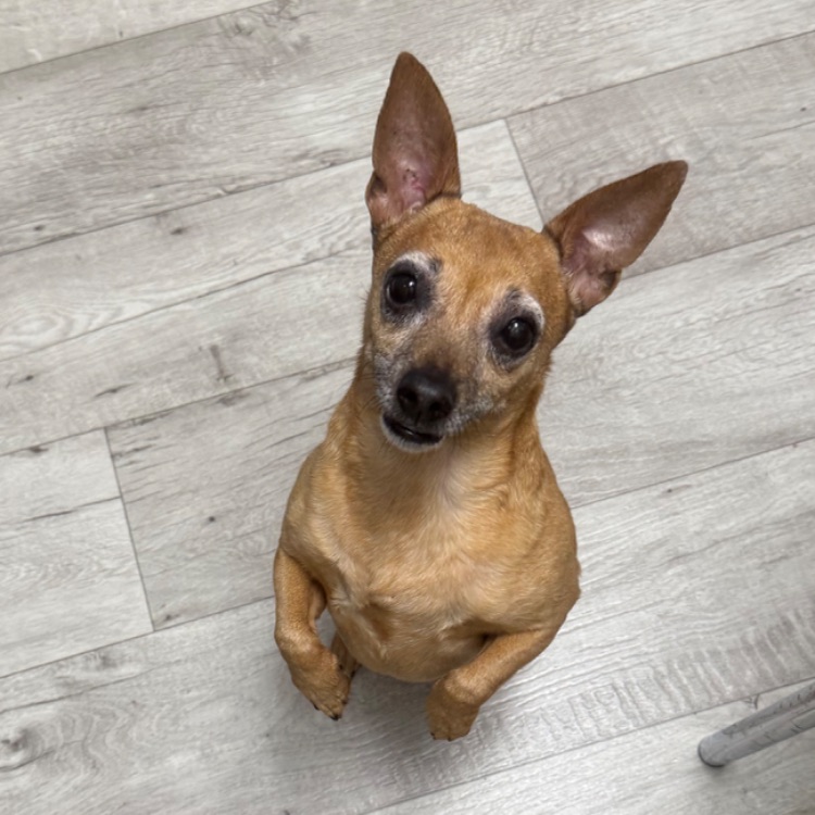 Иконка канала Супер Илья