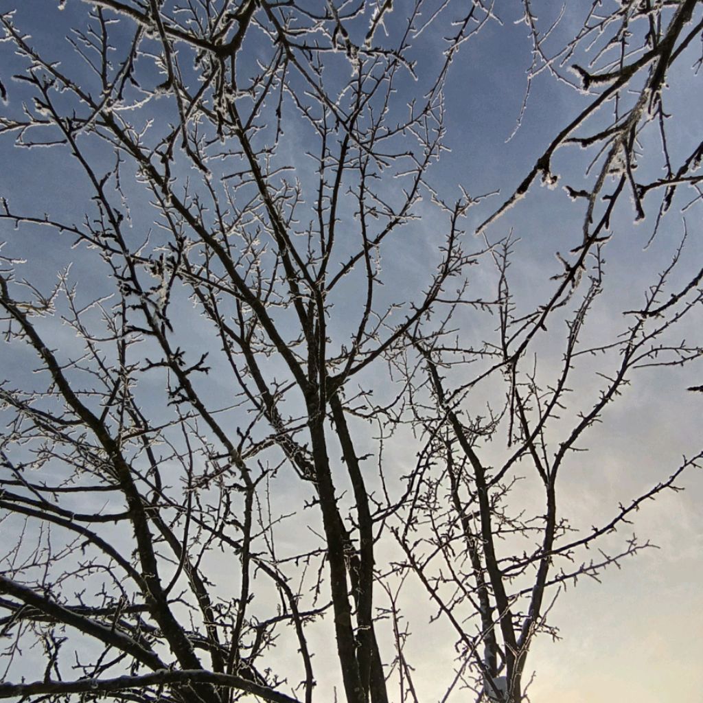 Иконка канала Жизнь и строительство дома в деревне