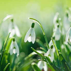 Иконка канала матвей про 001