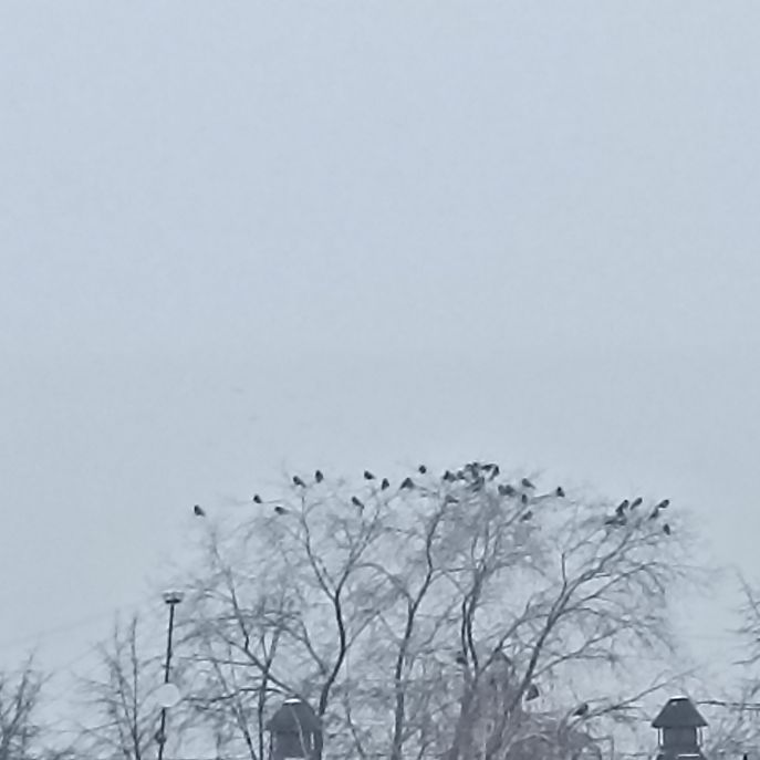 Иконка канала локоть слева