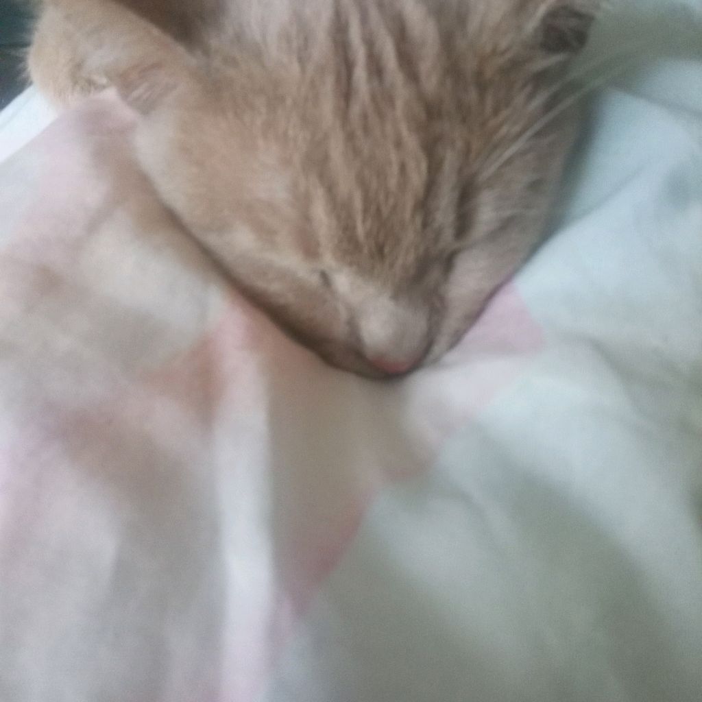 Иконка канала channel74884167♡♡💋💋