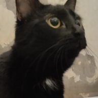 Иконка канала RuArsenii30