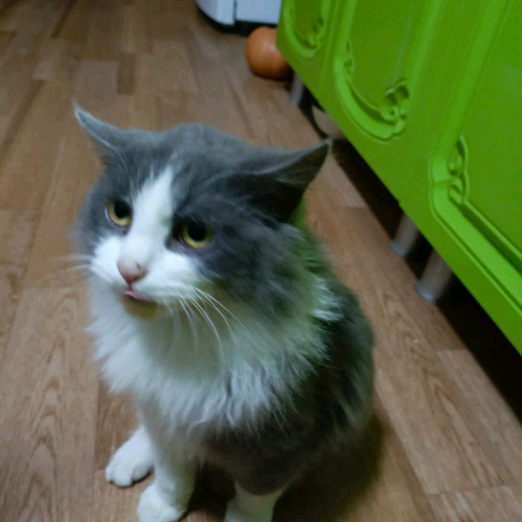 Иконка канала Глеб Кошарик