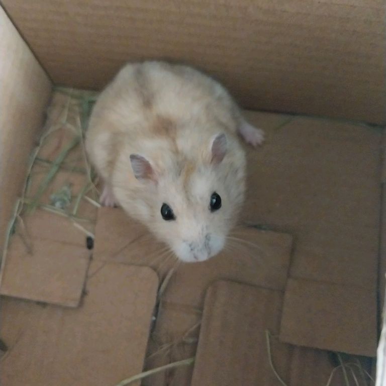 Иконка канала СНИМАЮ ОБО ВСЁМ