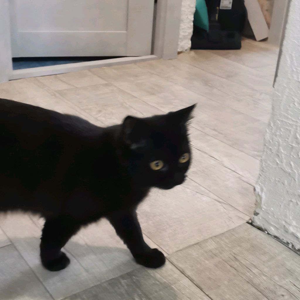 Иконка канала Super Nastik