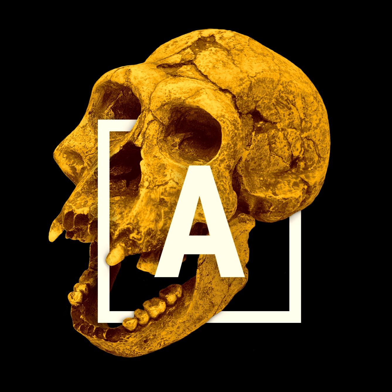 Иконка канала АНТРОПОГЕНЕЗ.РУ