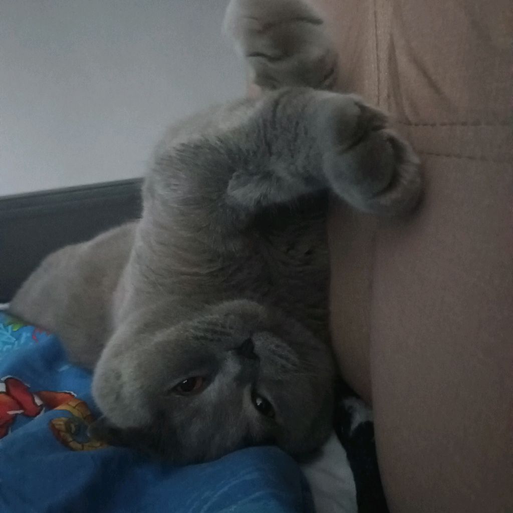 Иконка канала Мироха