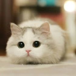 Иконка канала Дима Айер