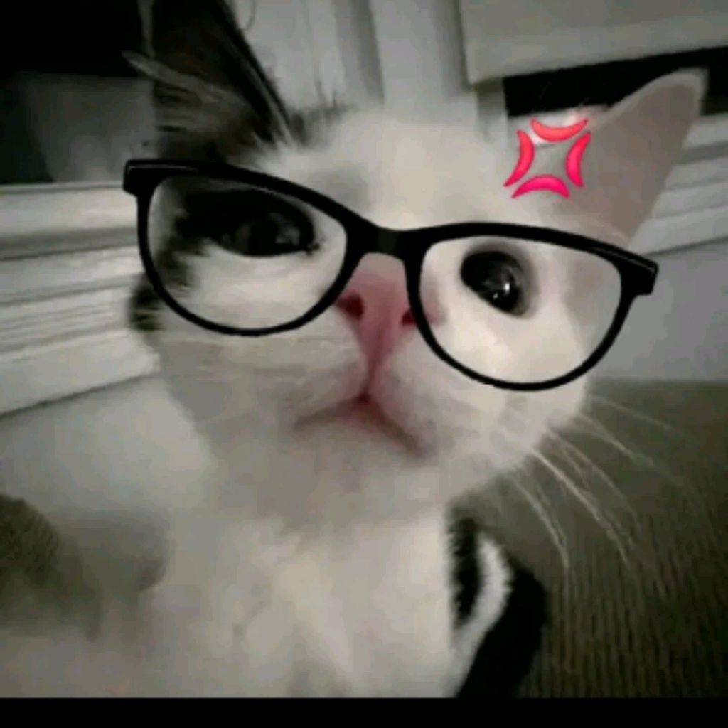 Иконка канала Сонечка💗