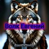 Иконка канала Волк Евгений