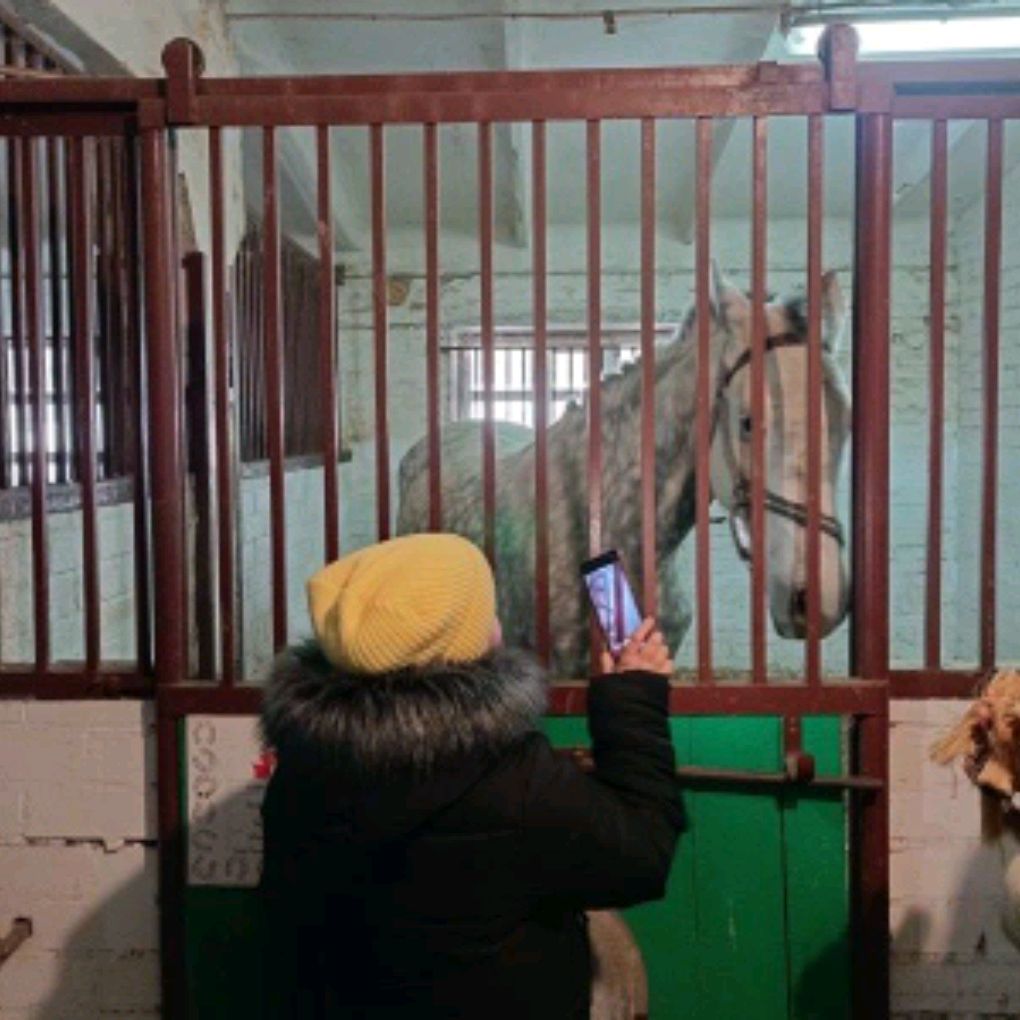 Иконка канала Квд:🍃тута🎭