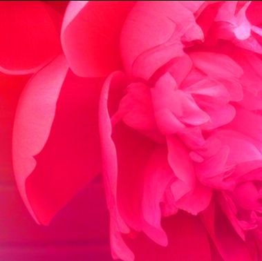 Иконка канала Мелодия уютного быта