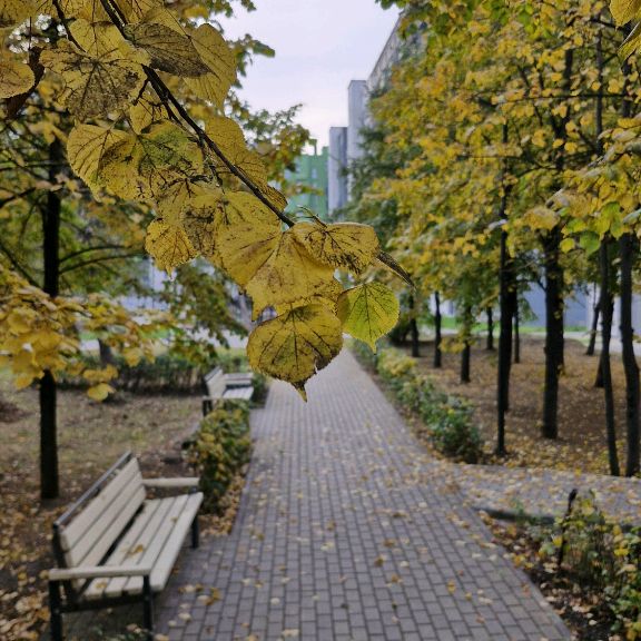 Иконка канала #94