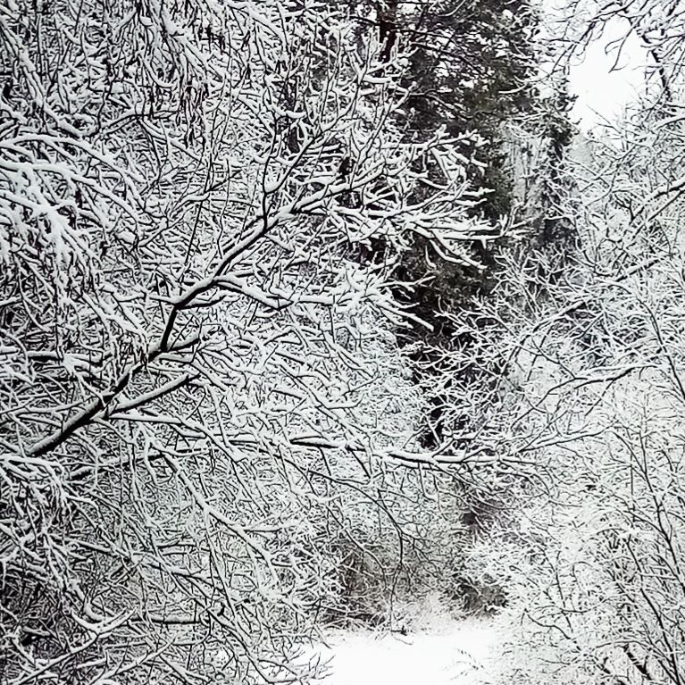 Иконка канала Извод