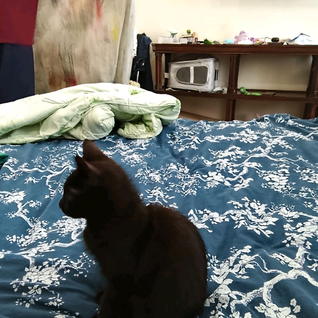 Иконка канала Соня Буль🐟