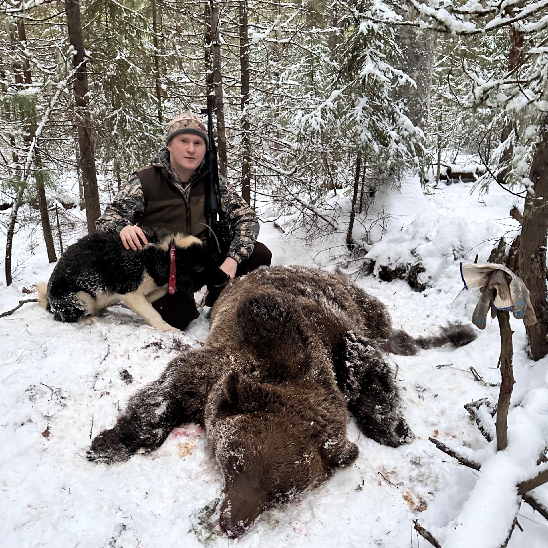 Иконка канала Охота С Лайкой