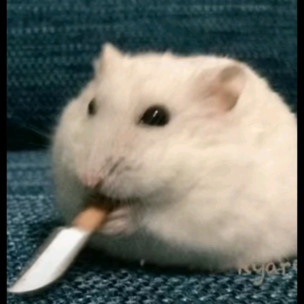 Иконка канала Swerik