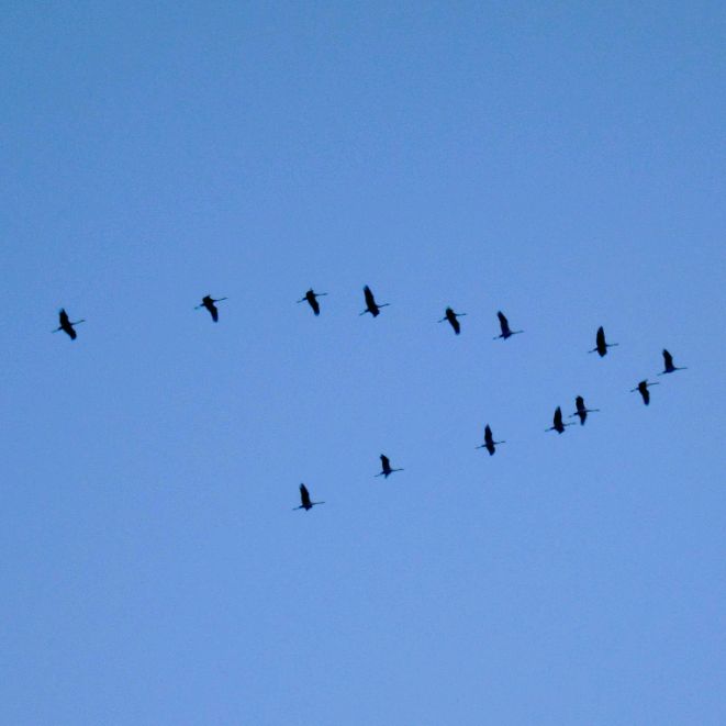 Иконка канала Андрей Ожогин Песни