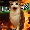 Иконка канала LumiaX~ 𝑹𝑼﹥ 🔥