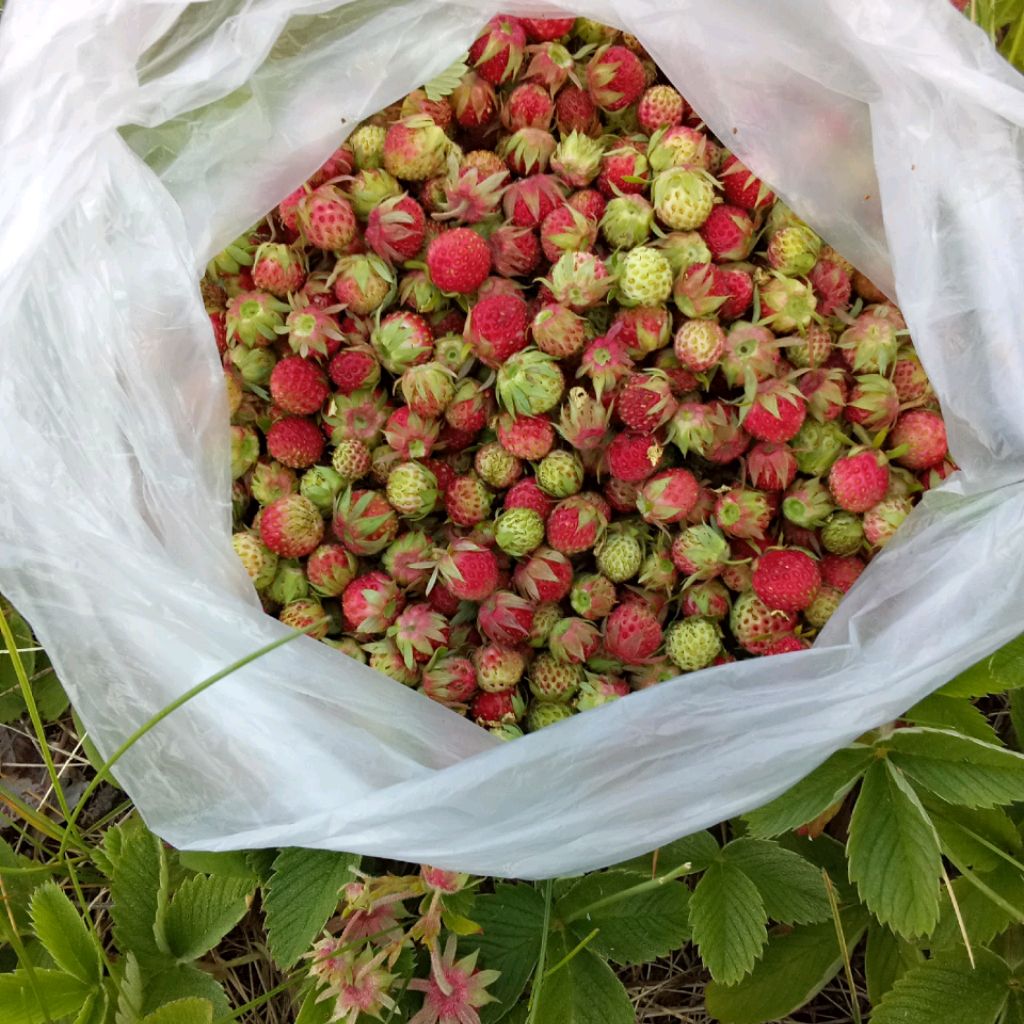 Иконка канала Сахапова Наталья