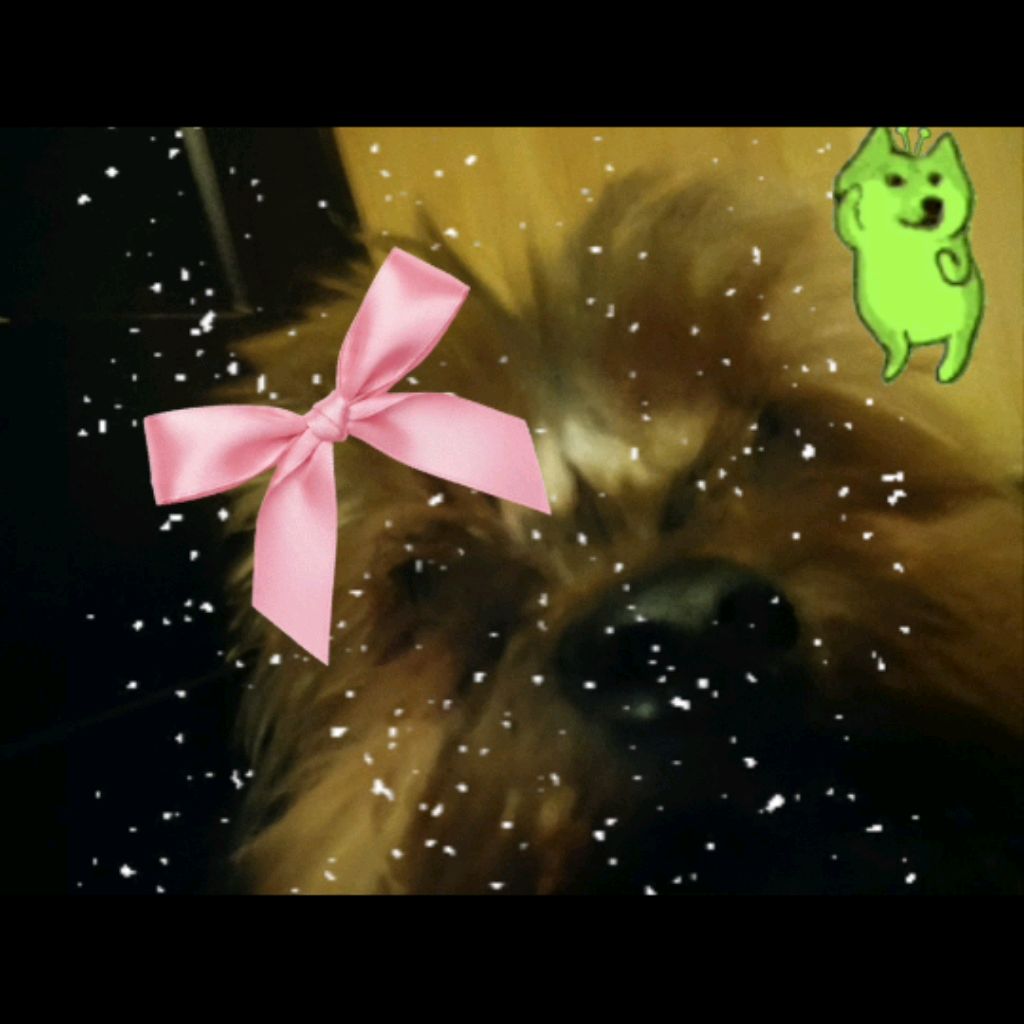 Иконка канала Жорян🐕🕶️🐩