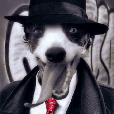 Иконка канала papamoski