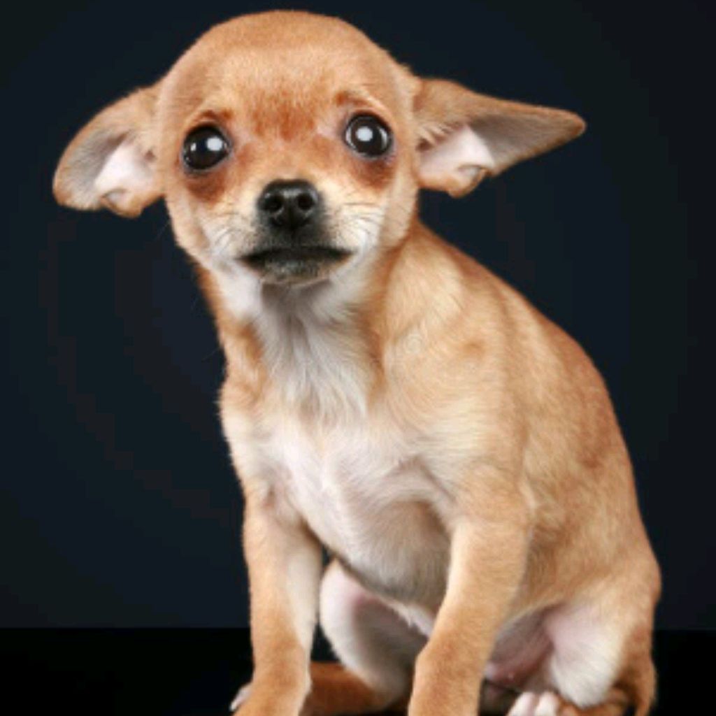 Иконка канала Жить В Такси