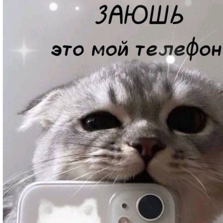 Иконка канала Поля.🫶🏻cheese🧀