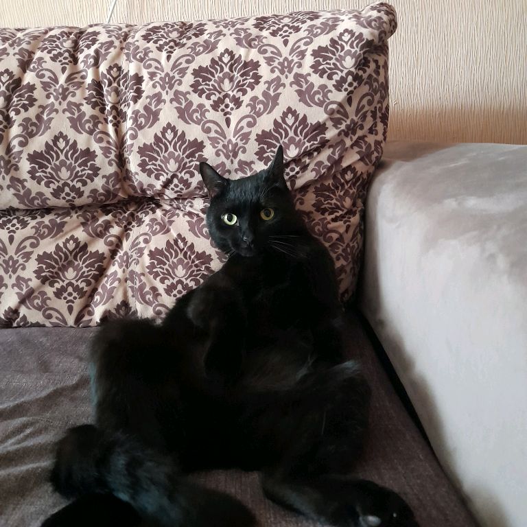 Иконка канала MrZhor4hik